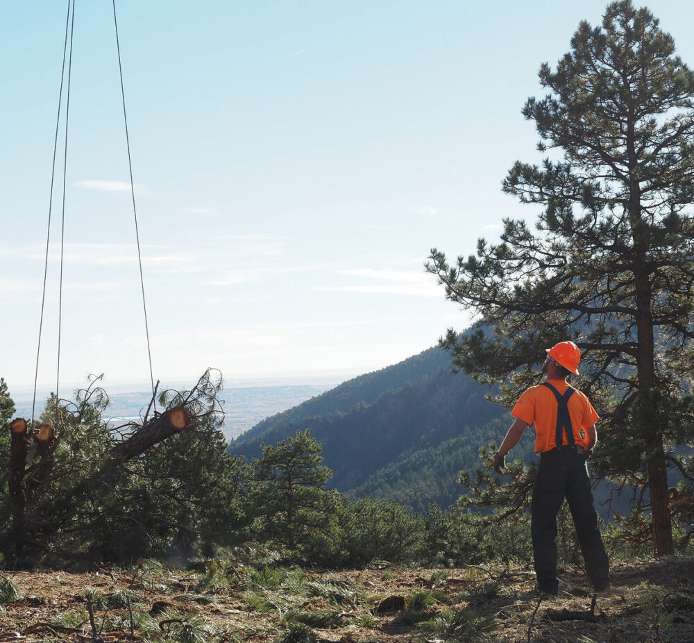 Utility Vegetation Management - VM West