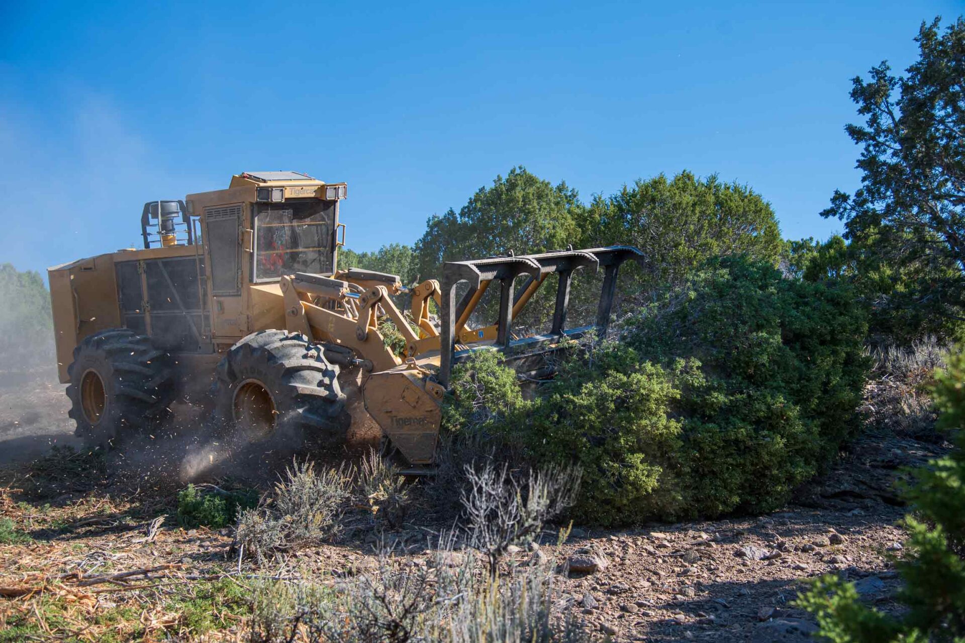 Utility Vegetation Management - VM West